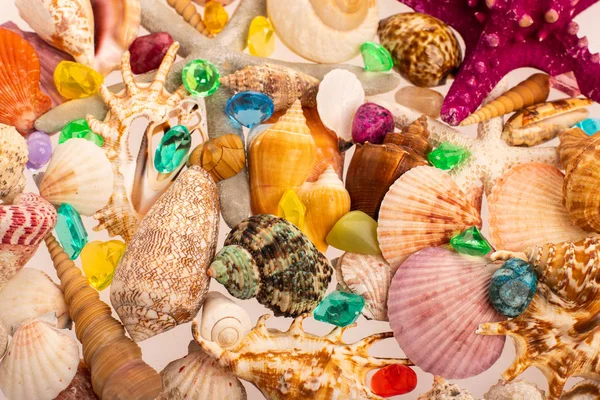 Conchas marinas de colores Stock Photos, Royalty Free Conchas marinas ...