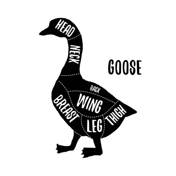 Goose and Duck farm animals sketch. Stock Vector Image by ©ilonitta ...