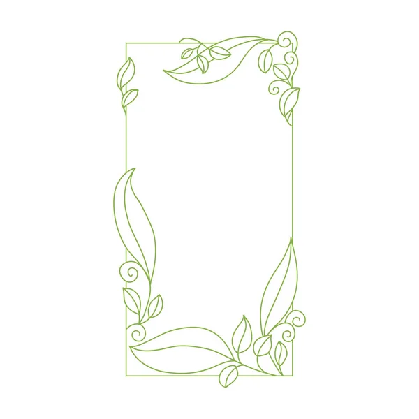 Marco enredadera imágenes de stock de arte vectorial | Depositphotos