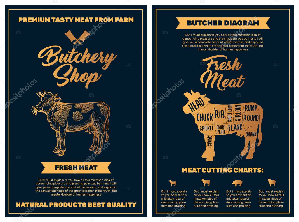 Carnicería Cartel con carne de vaca Cortando cartas en colores dorados ...