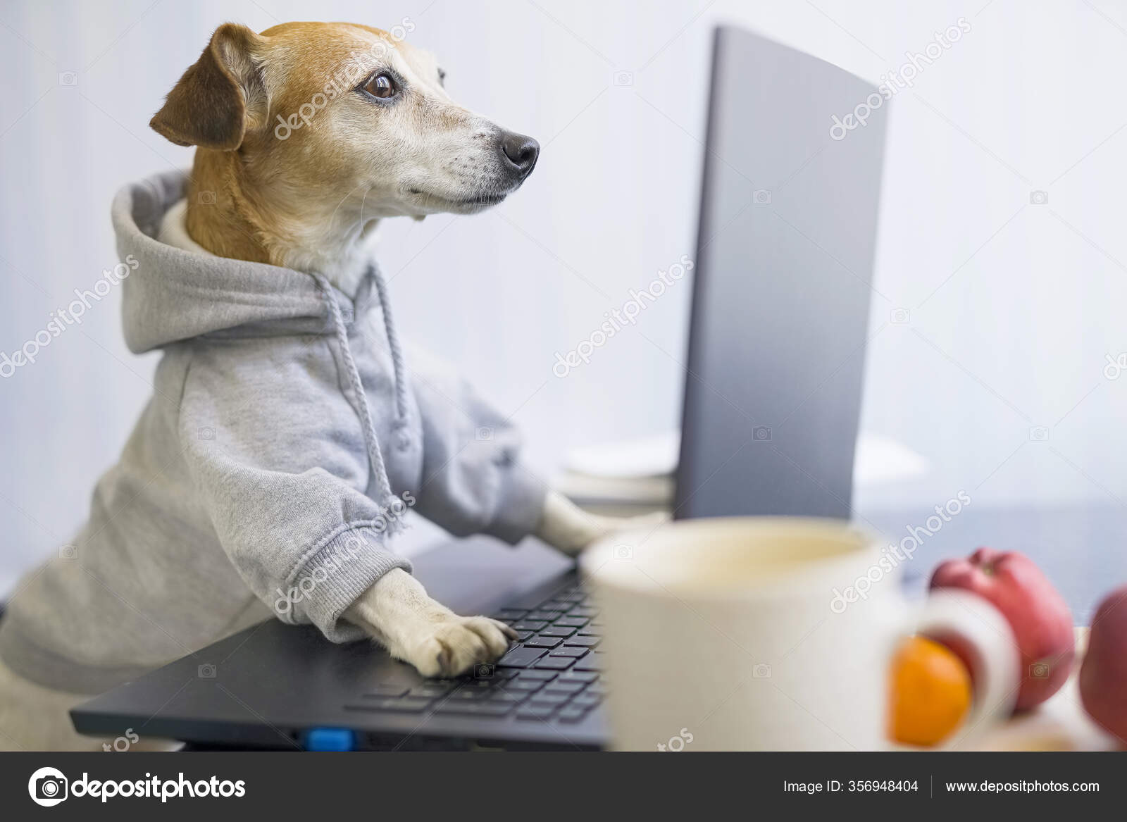 Dog Computer