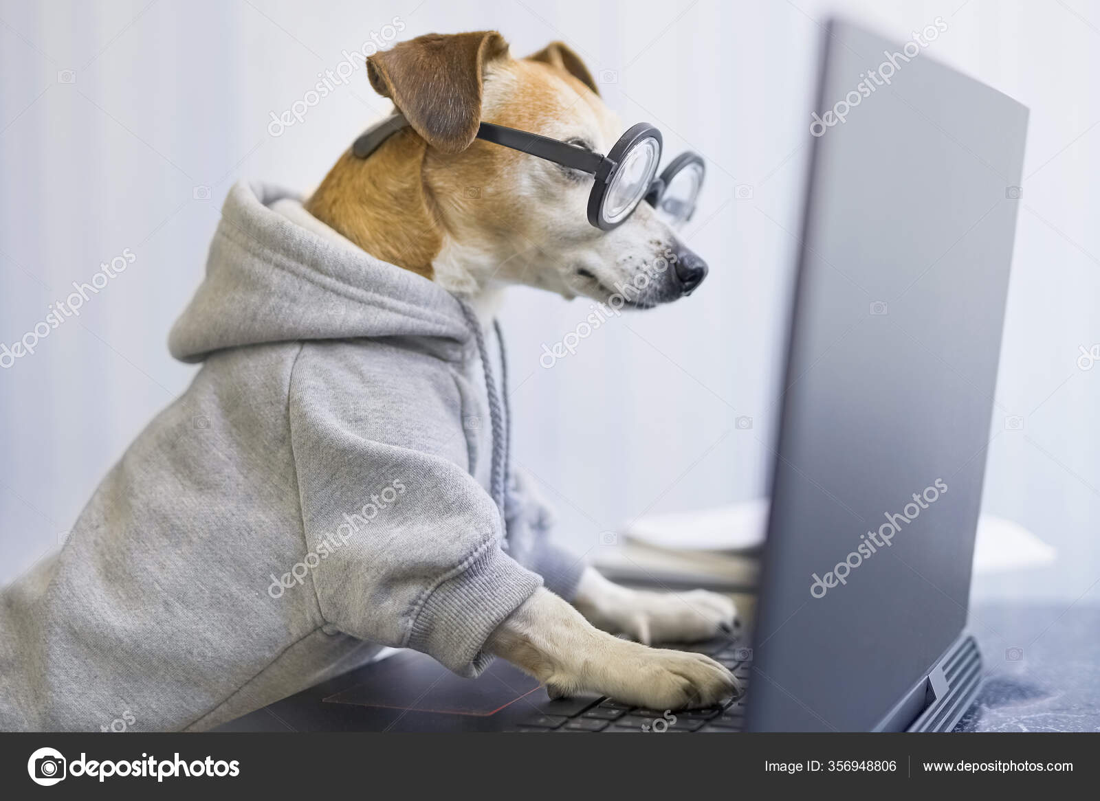 Smart Working Dog Using Computer Typing Laptop Keyboard Designer ...