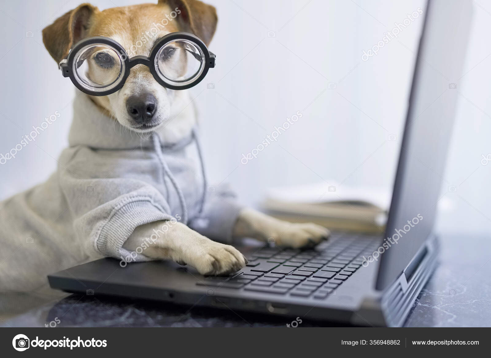 Dog Typing On Keyboard
