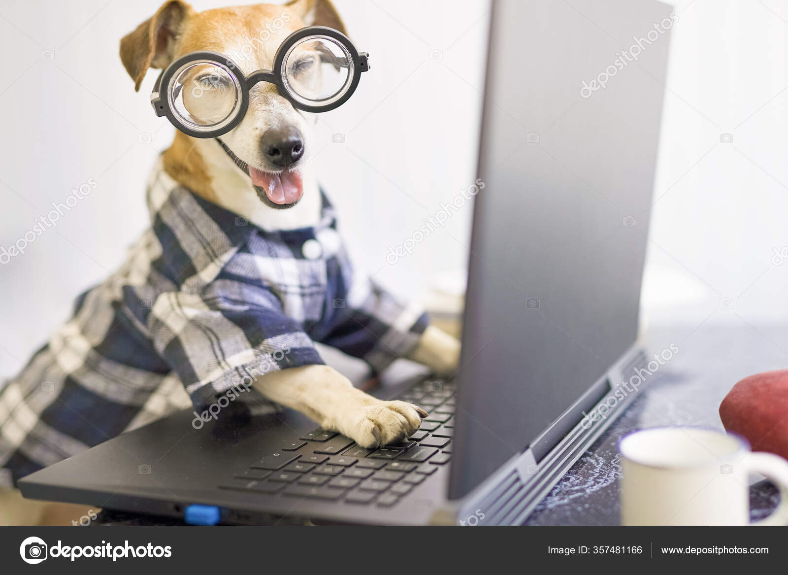 Freelancer Dog Using Computer Funny Pet Blue Shirt Nerd Looking — Stock ...