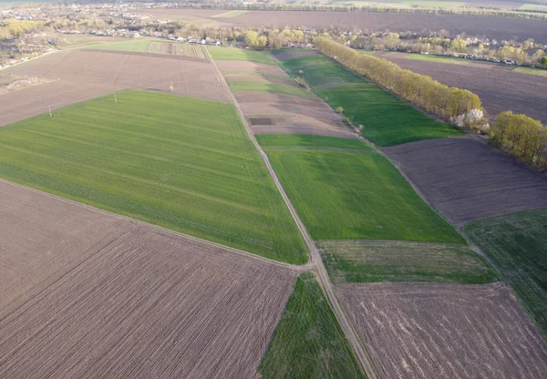 Small agricultural plantations with different crops and growing crops ...