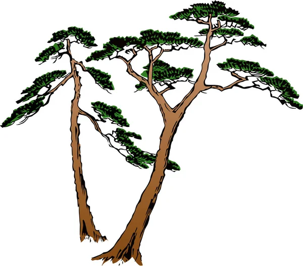 23,902,684 Epiphytes tree Vector Images | Depositphotos