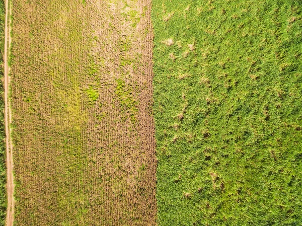 Top Views, Aerial Views of Fields and Agricultural Parcel, Sugar ...
