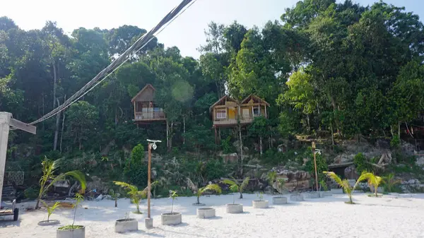 Скачать картинки Lay festival 2024 bio plant sonic ambient set at bali ...