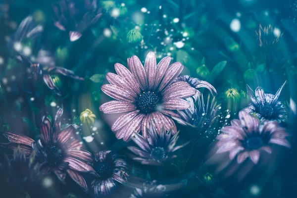 Dramatic Flower Background Nature Background Stock Photo by ©joey0304 ...