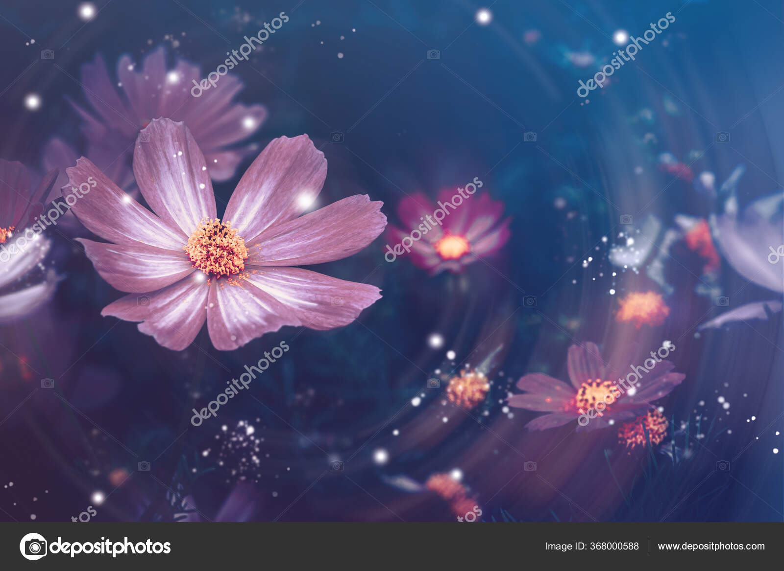 Dramatic Flower Background Nature Background Stock Photo by ©joey0304 ...