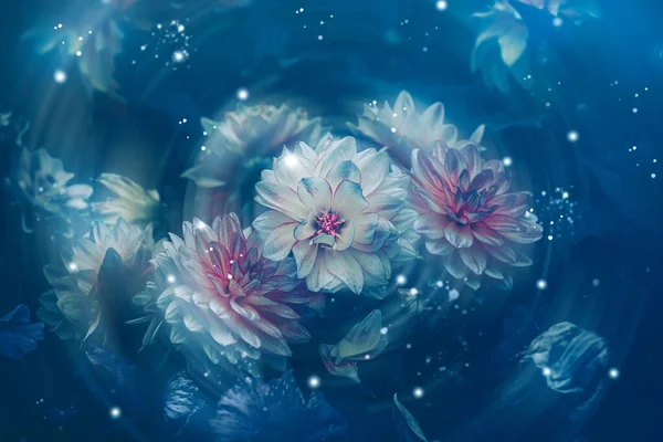 Dramatic Flower Background Nature Background Stock Photo by ©joey0304 ...