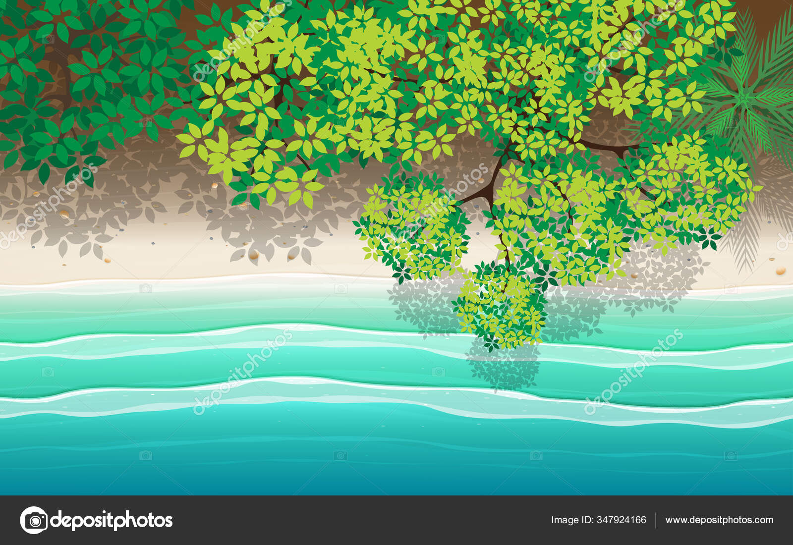 Mangrove Cartoon