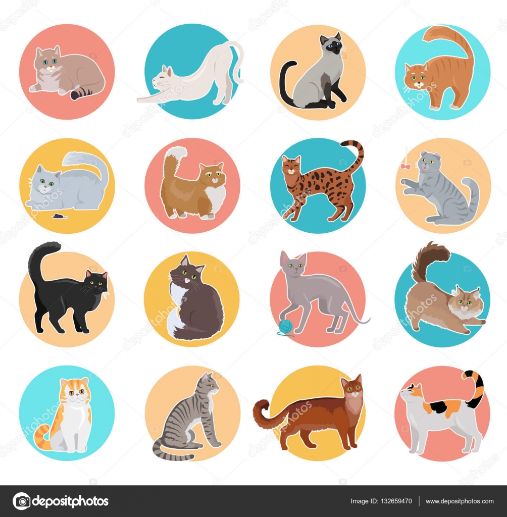 Collection of Vector Icons with Cat in Flat Design Stock Vector by ...
