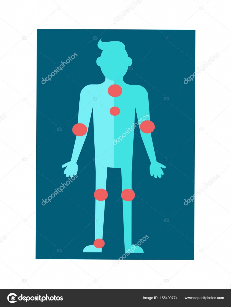 Anatomical Scheme of Human Body in Flat Design Stock Illustration by ...
