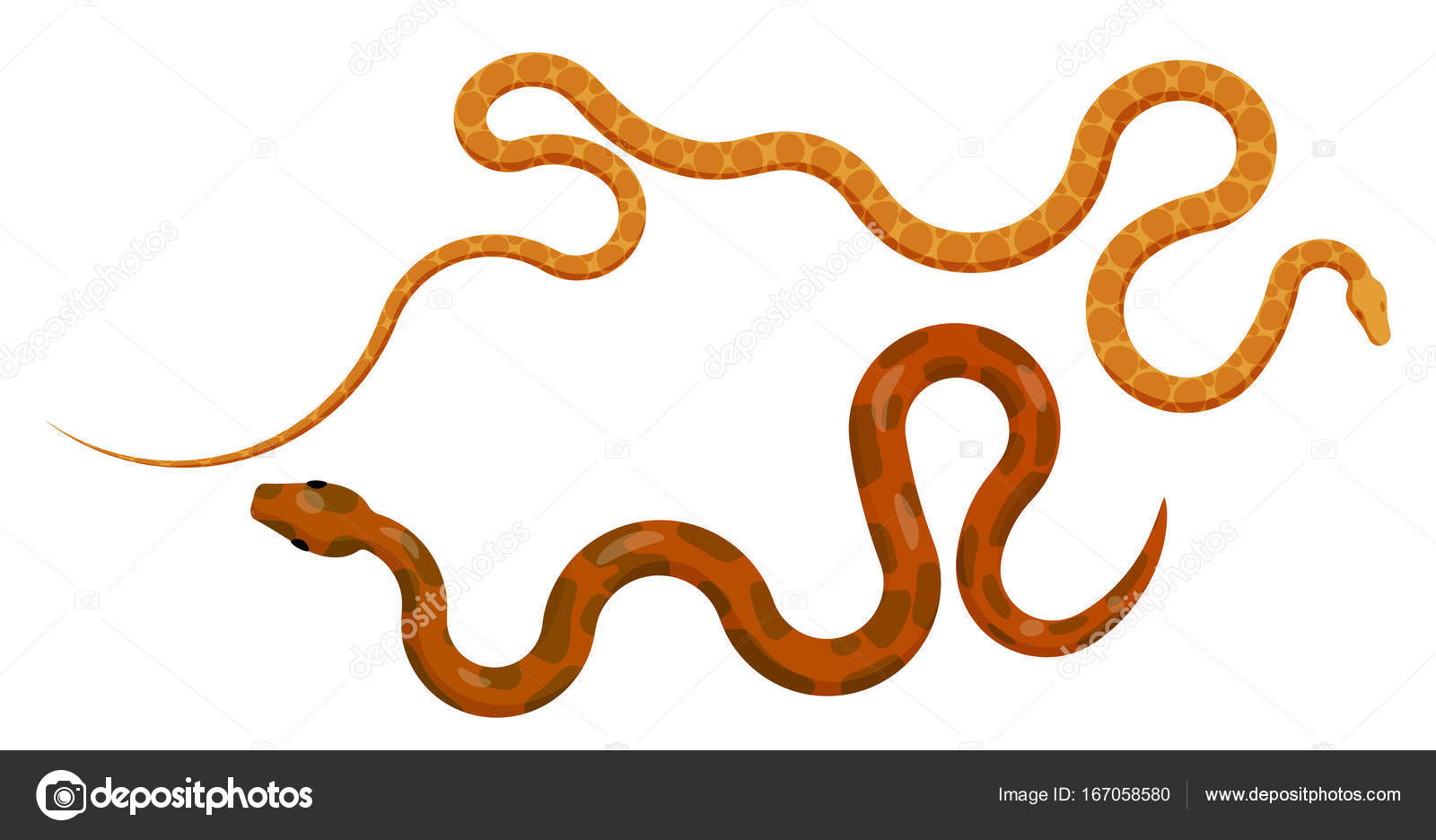 Slither vermelho e laranja Pythons Top View Vector Vetor de ©robuart ...