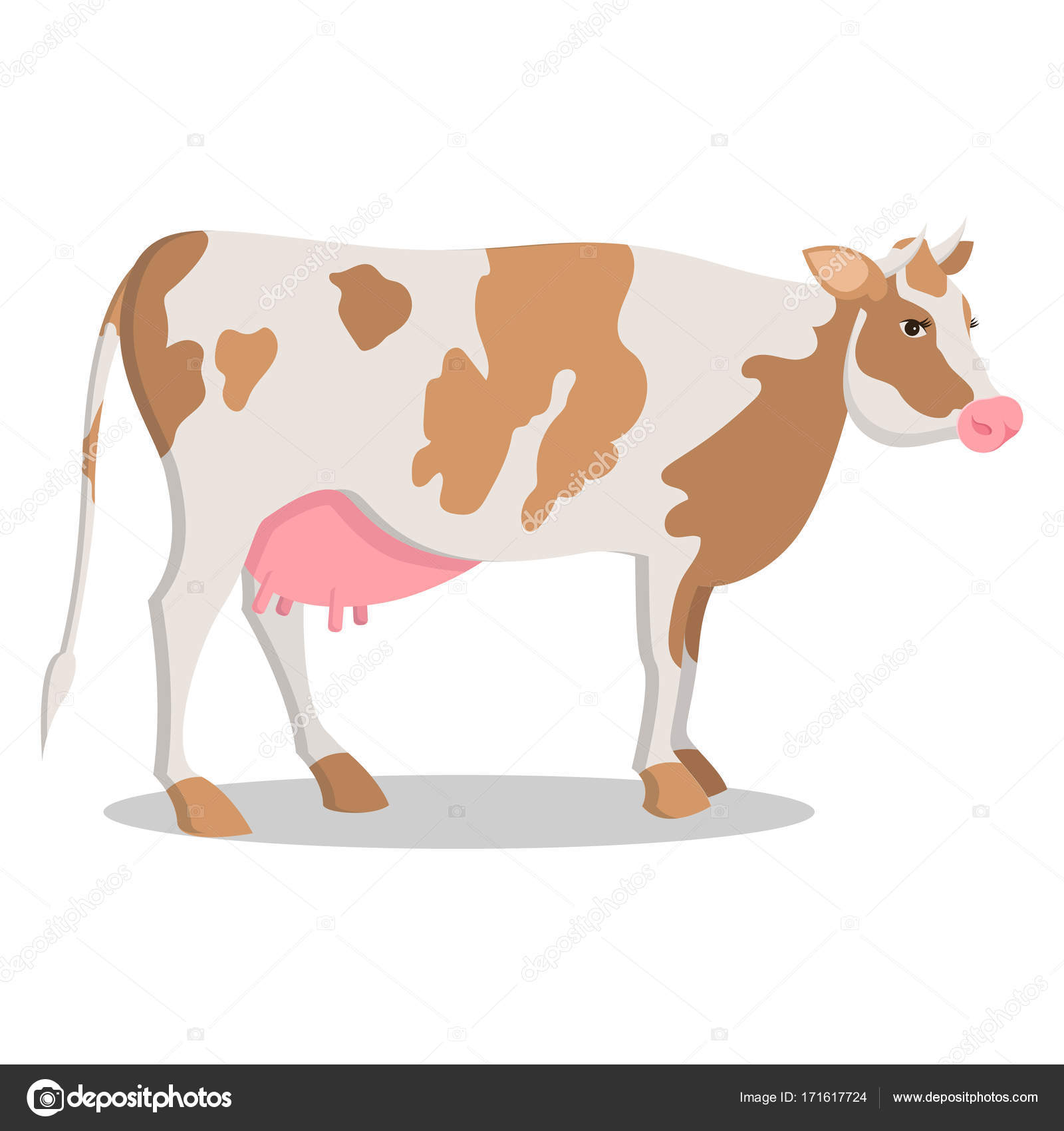 Krowa, uprawiane w gospodarstwie na białym tle ilustracja kreskówka ...