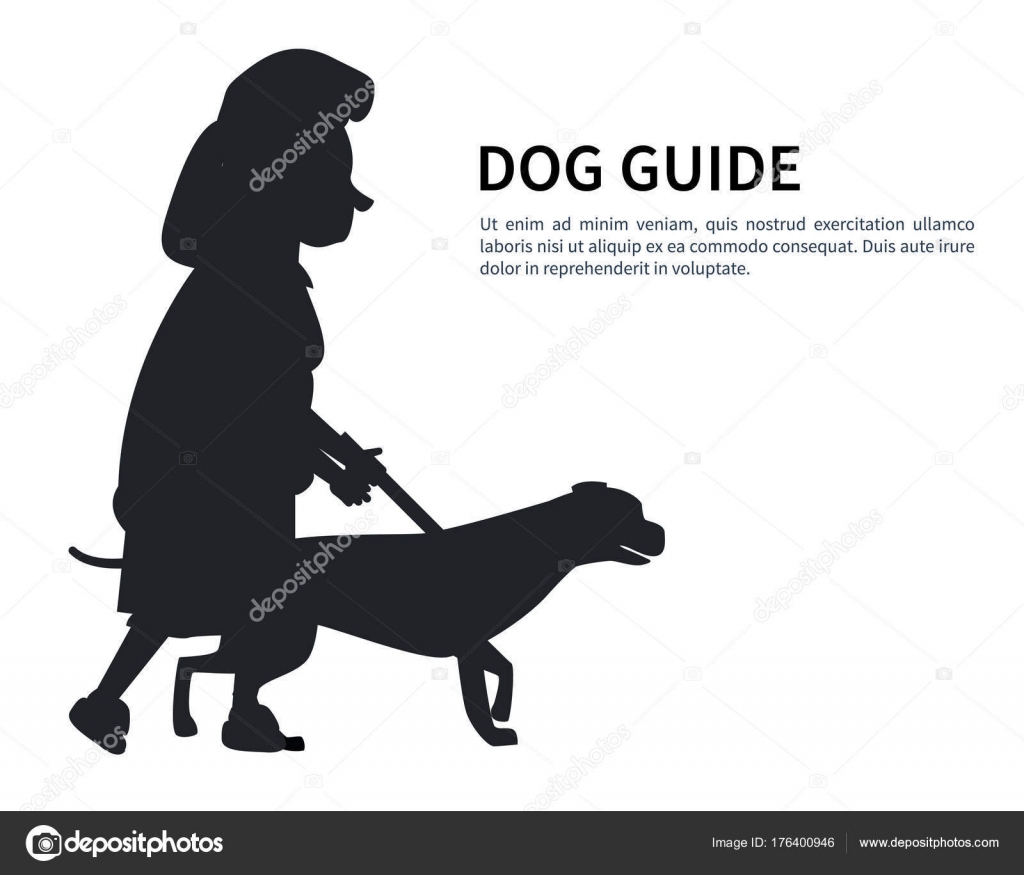 Guide To Purebred Dogs Poster