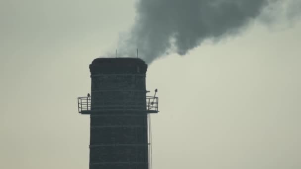 1,599 vídeos de Embudo químico, metraje de Embudo químico sin royalties | Depositphotos