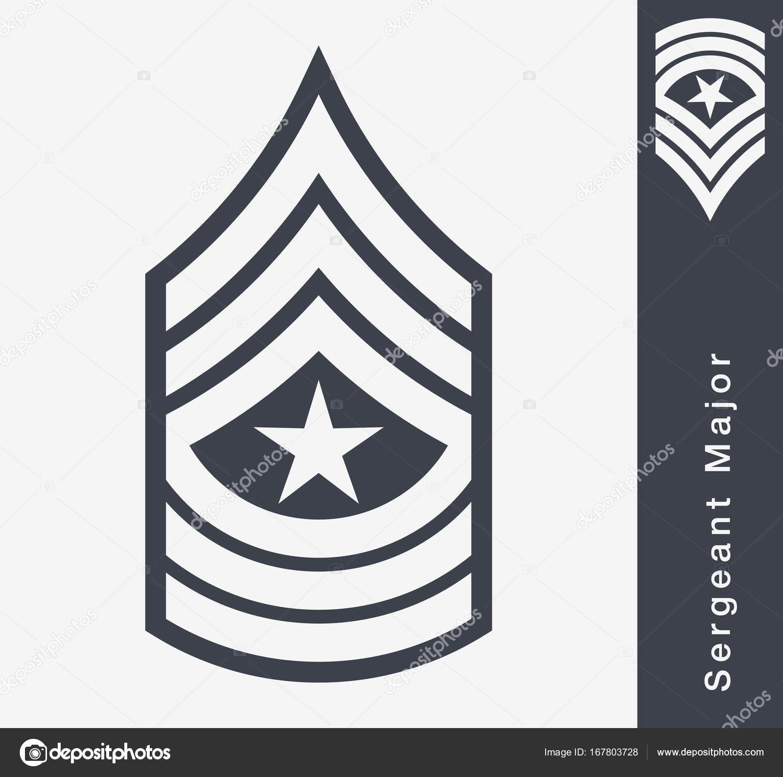 Vector Illustration With Major Taxonomic Ranks Stock