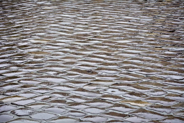 Pavement rain Stock Photos, Royalty Free Pavement rain Images ...