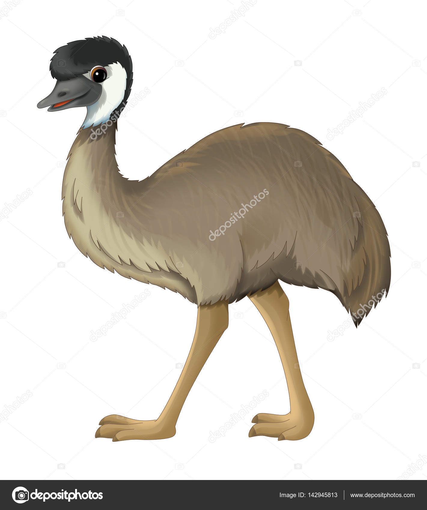 Cartoon animal emu walking Stock Illustration by ©agaes8080 #142945813
