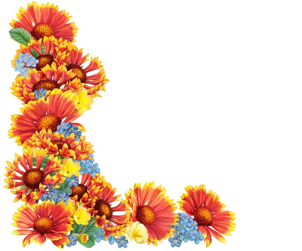 11,081 Orange flowers border Stock Photos, Images | Download Orange ...