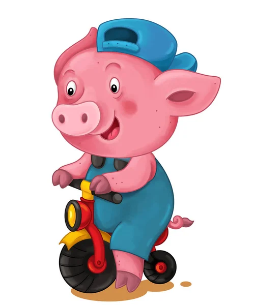 Pig riding Stock Photos, Royalty Free Pig riding Images | Depositphotos