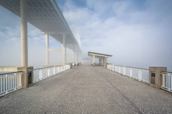 The Mount Pleasant Pier and Arthur Ravenel Bridge, in Charleston Stock ...