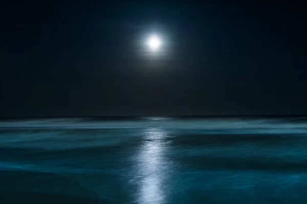 Ocean night Stock Photos, Royalty Free Ocean night Images | Depositphotos