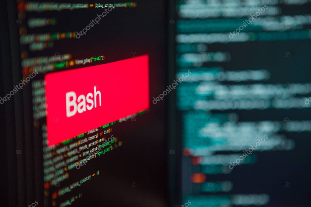 Lenguaje de programación, inscripción Bash en el fondo del código informático. 2023
