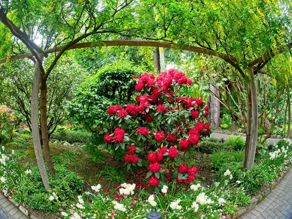 Beautiful garden spring Stock Photos, Royalty Free Beautiful garden ...