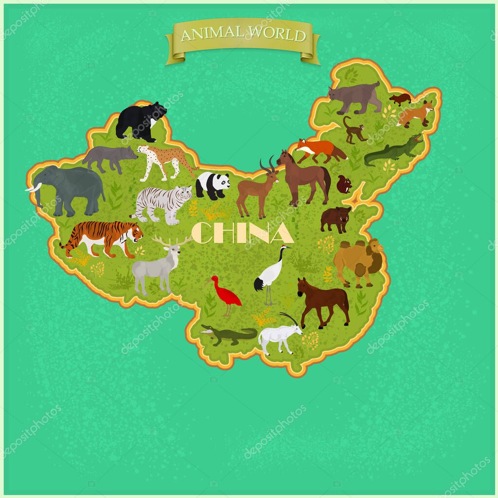 Mapa de China con animales tigre, grúa, elefante, panda y otros sobre ...