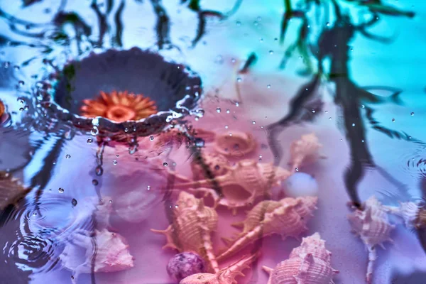 Pink Water Tumblr Background