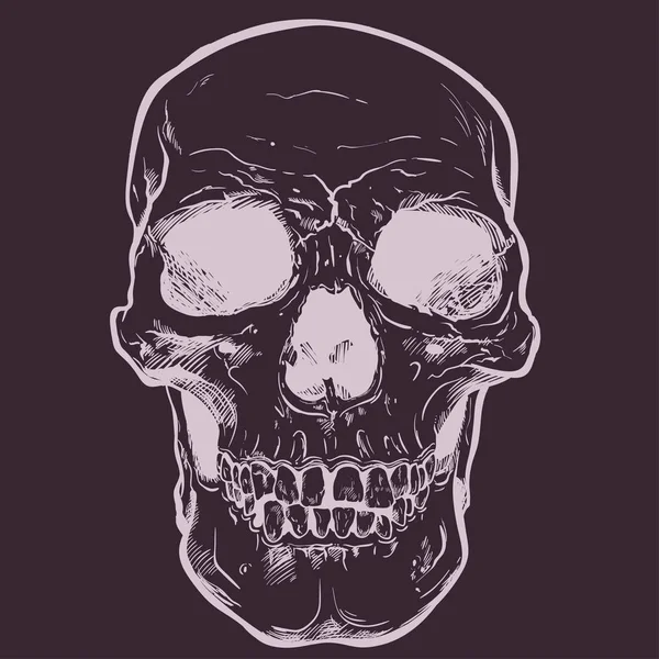 Calavera humana Vector Art. ilustración dibujada a mano. 2024