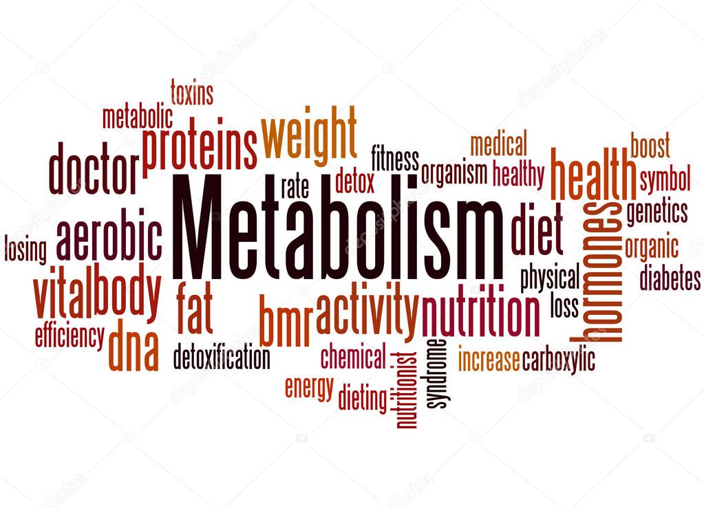 Metabolismo, concepto de nube de palabras 2024