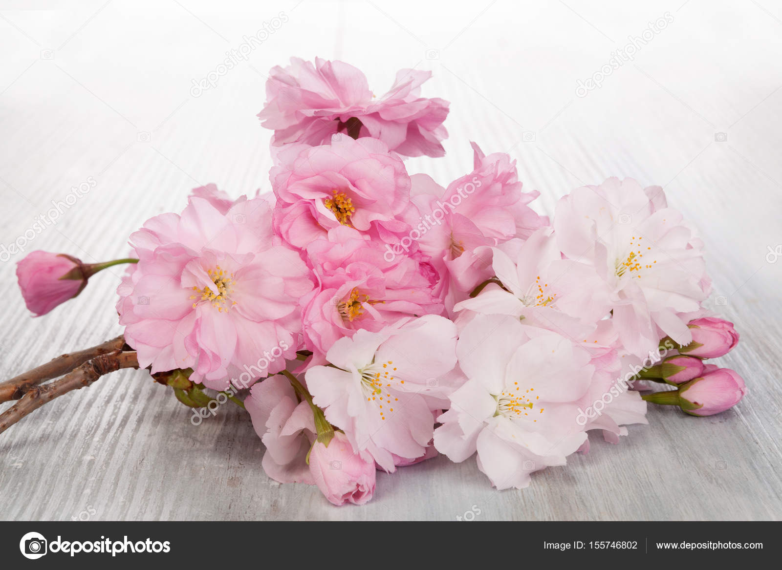Romantic spring background. Stock Photo by ©eskymaks 155746802