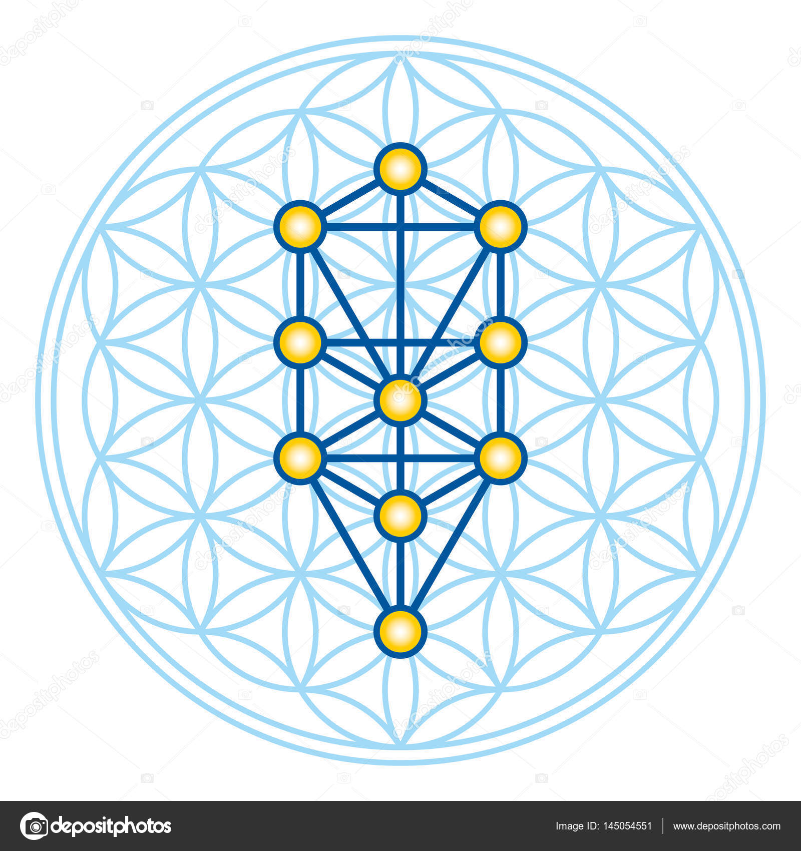 Geometria Sagrada Flor Da Vida