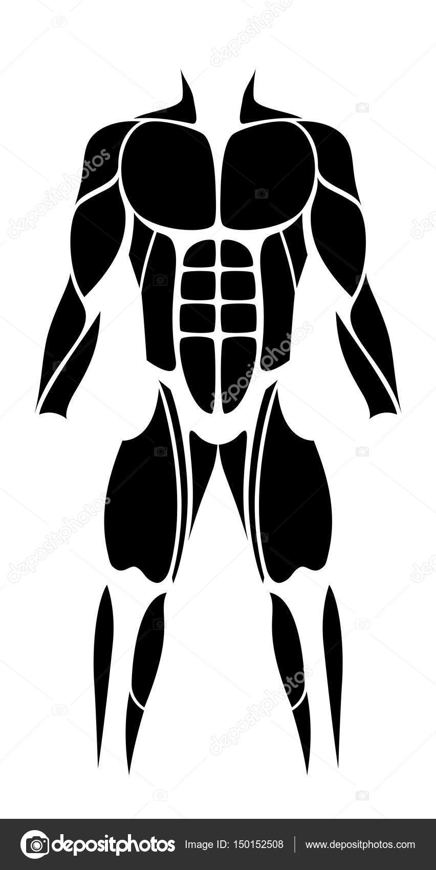 Muscles Abstract Figure Icon Stock Vector Image by ©Furian #150152508