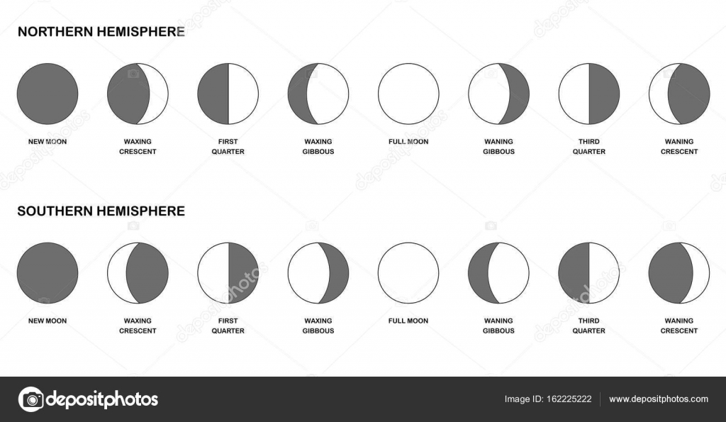 Diagrama De Fases Da Lua Para Rotular