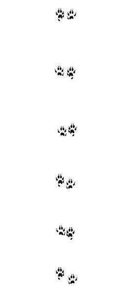 Trilhas animais Vector Art Stock Images | Depositphotos