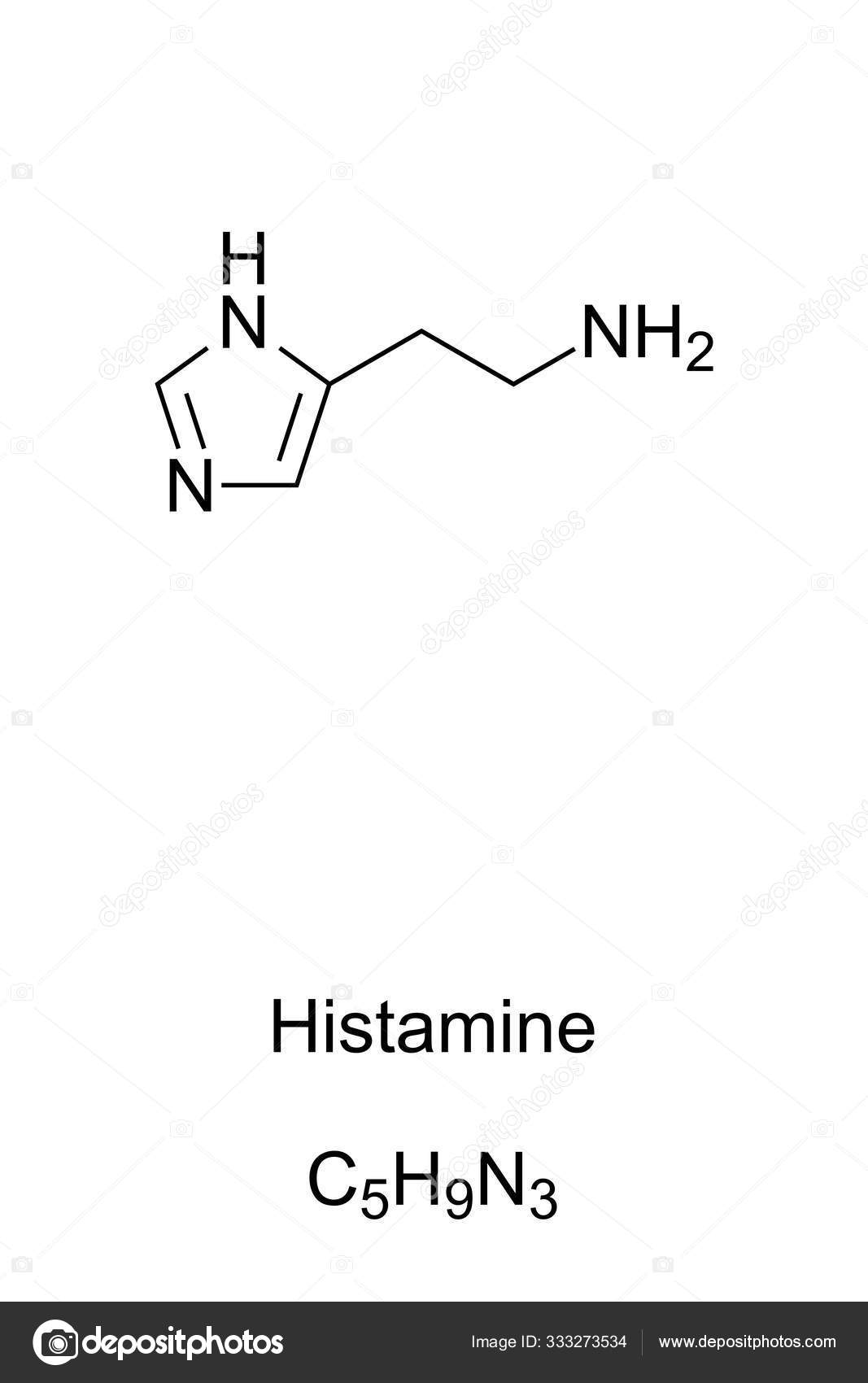 Histamine molecule, skeletal formula Stock Vector by ©Furian 333273534