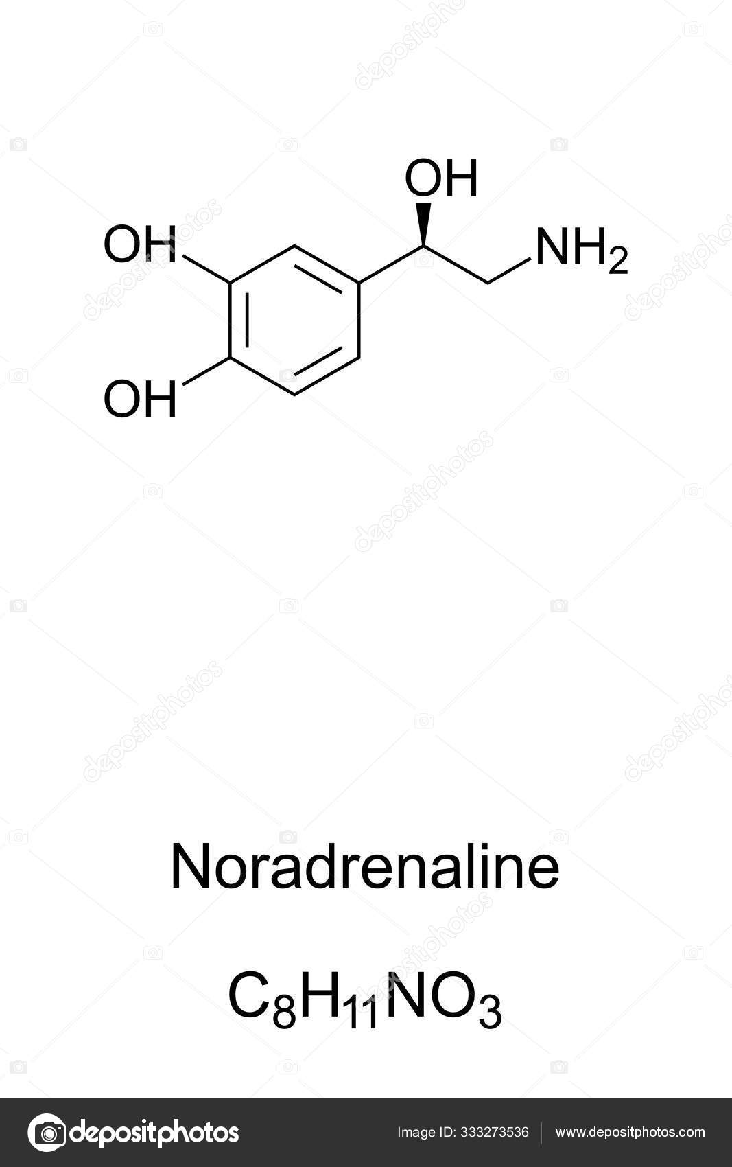 Noradrenaline molecule, norepinephrine skeletal formula Stock Vector ...