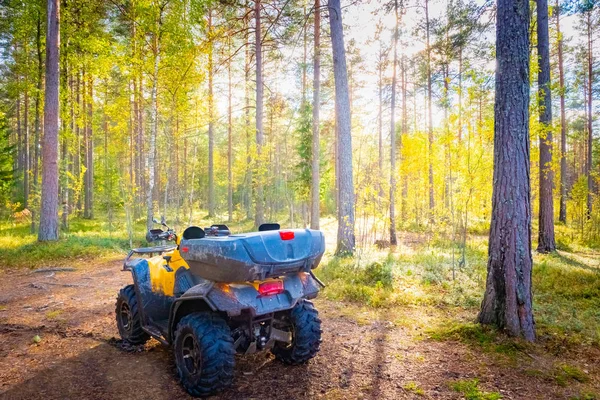 ATV stands in the woods without a driver. Active rest in the fresh air ...