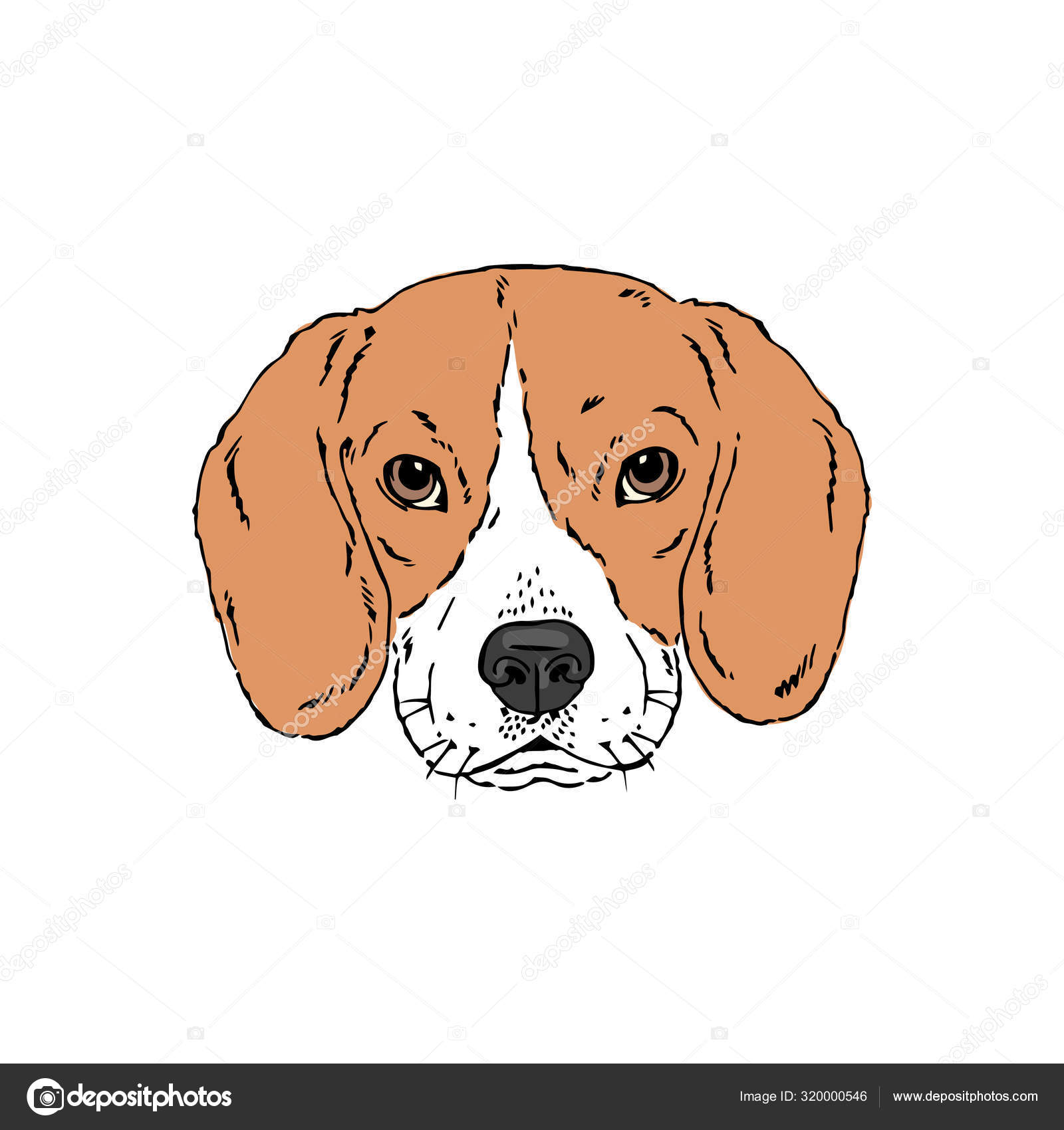 Ilustración de retrato vectorial simétrico de raza de perro Beagle ...