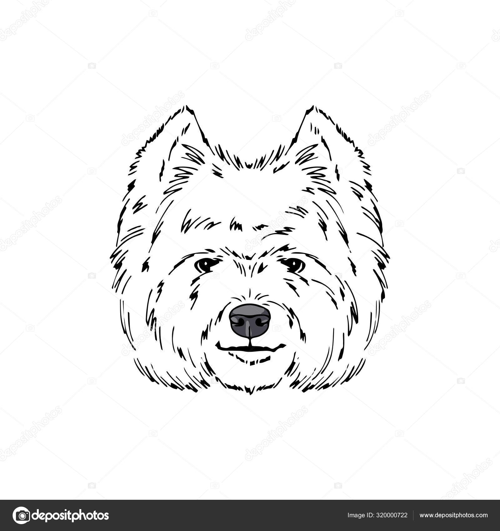 Retrato vectorial simétrico ilustración de West Highland raza de perro ...