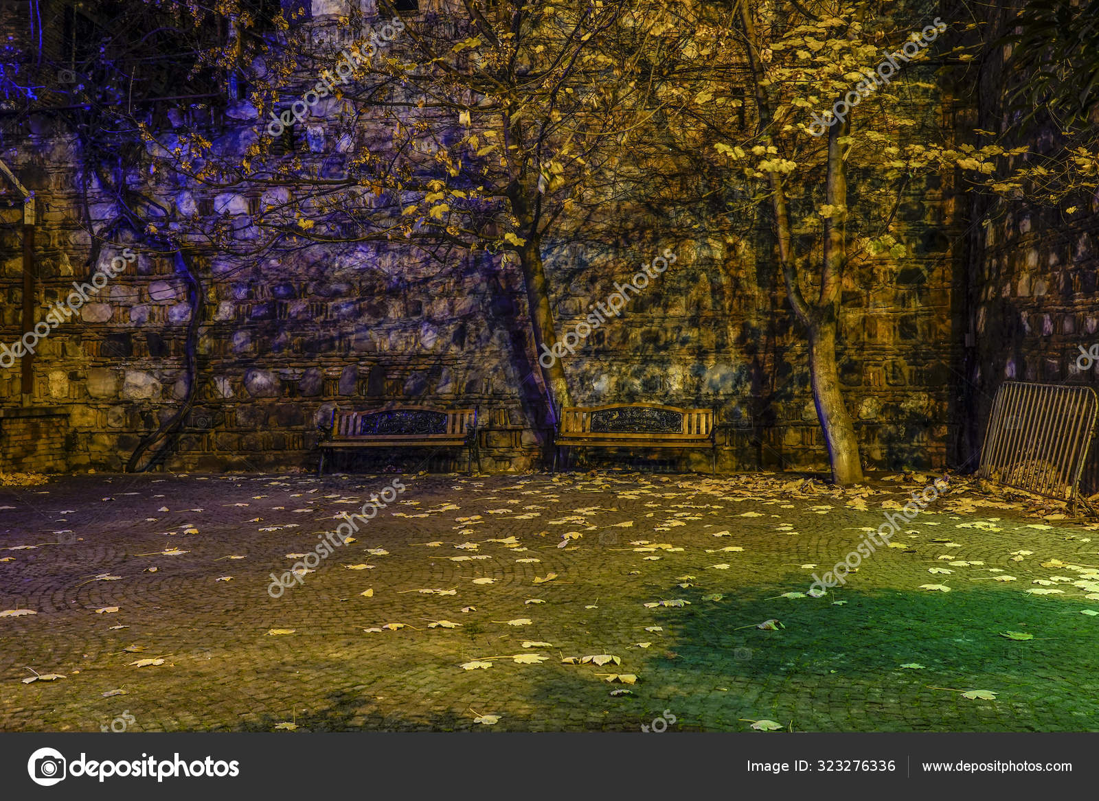 Tbilisi Georgia Benches Fall Foliage Park Illuminated City Lights ...