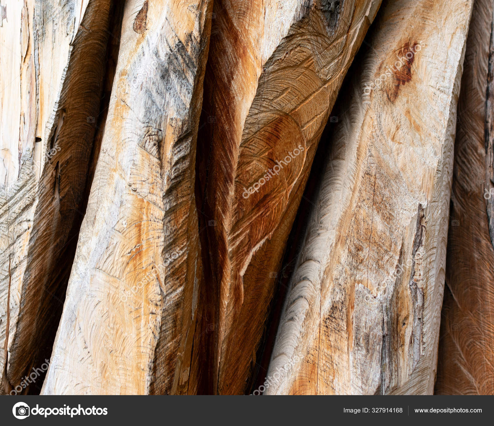 Trunk texture — Stock Photo © albertolpzphoto #327914168
