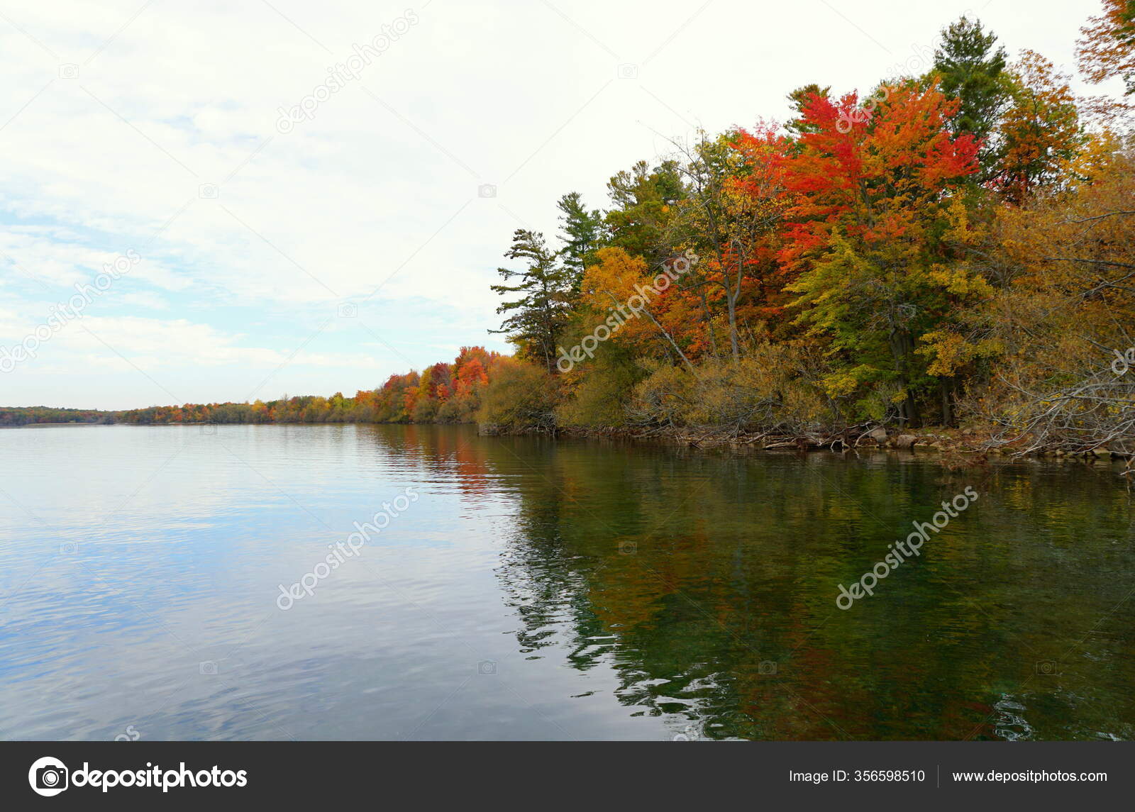 Stunning Colors Fall Foliage Lawrence River Wellesley Island State Park ...