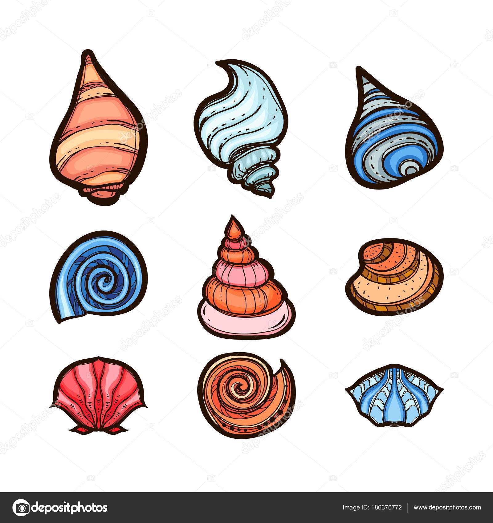 Collection of various seashells isolated on white Stock Vector Image by ...