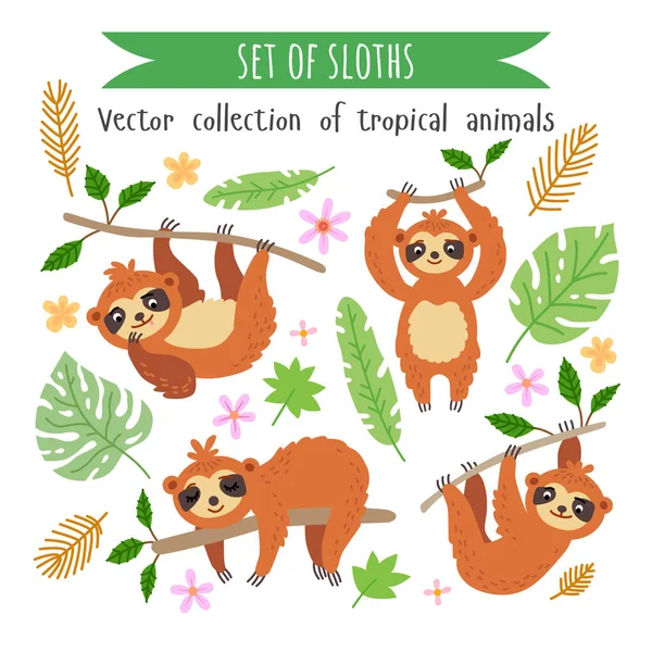32 Sleepy sloths Vector Images | Depositphotos